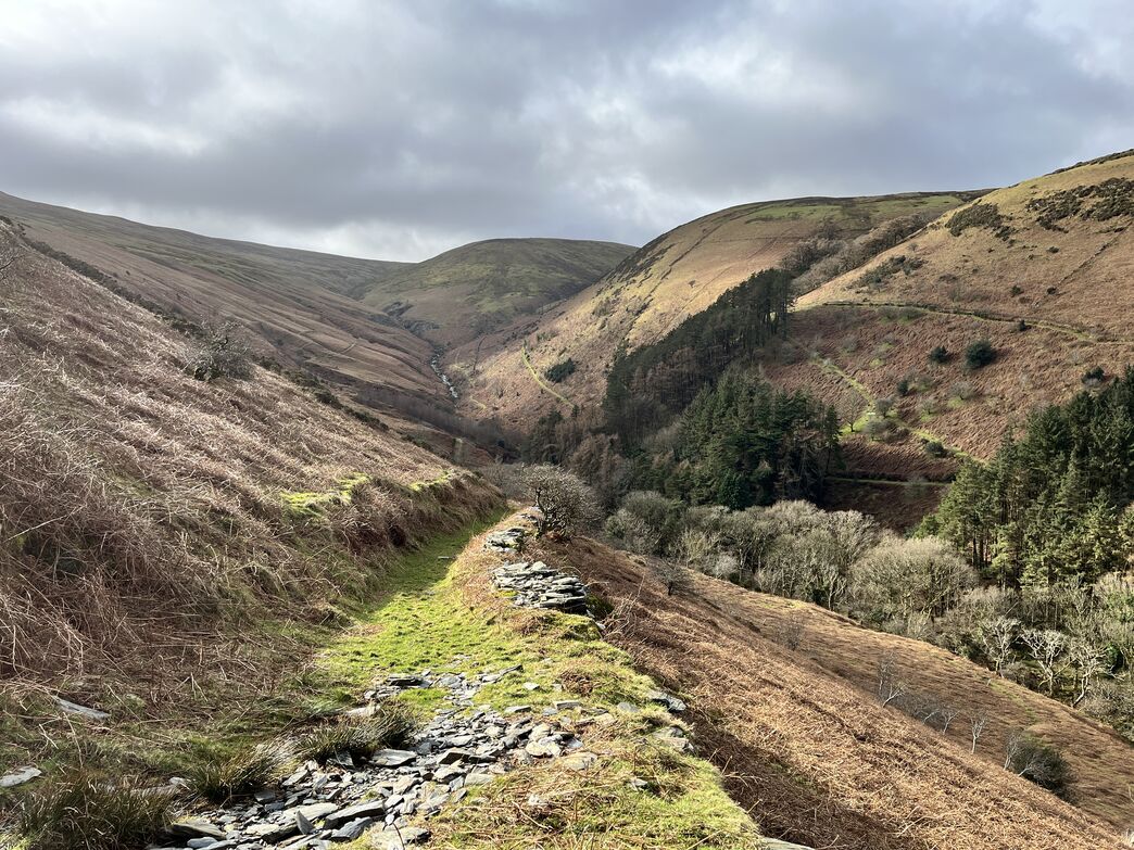 MWT Glen Auldyn Reserve | Manx Wildlife Trust