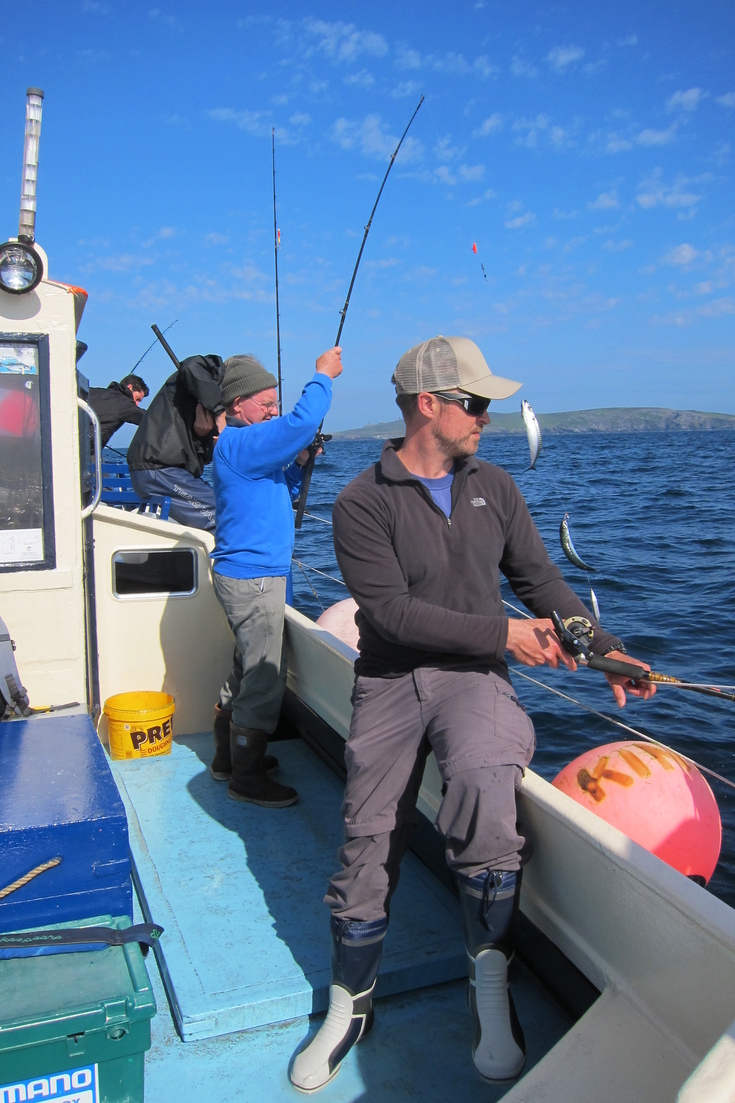Shark tagging | Manx Wildlife Trust